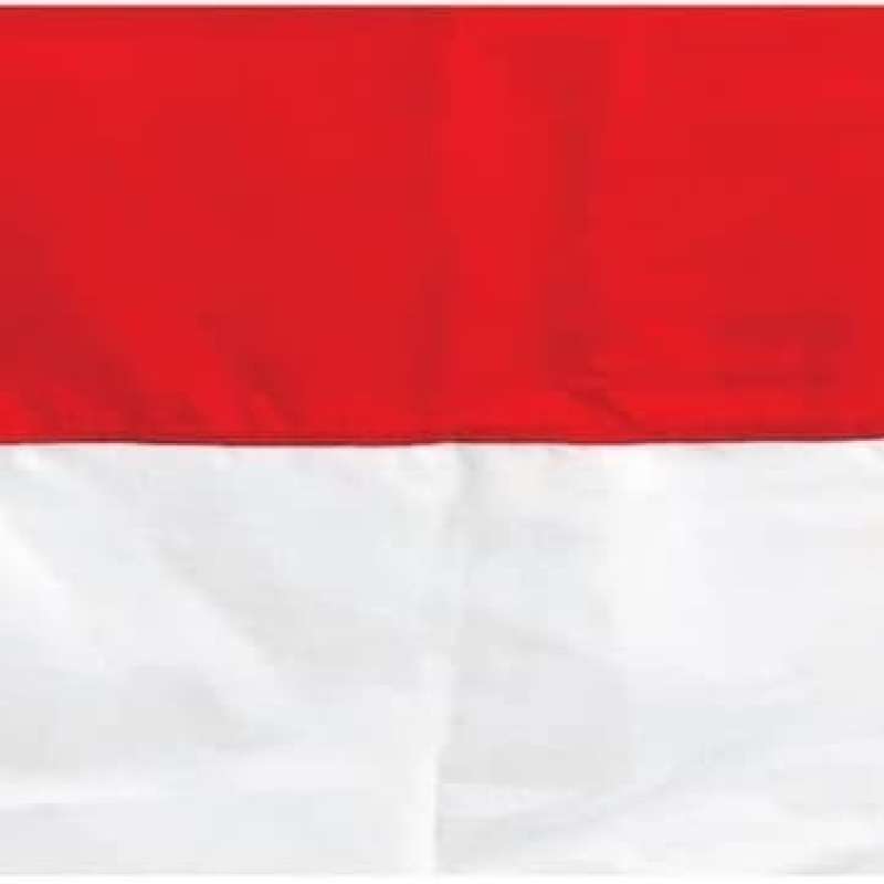 Jual Bendera Merah Putih 200 X 300 Original Murah - Harga Diskon Mei ...
