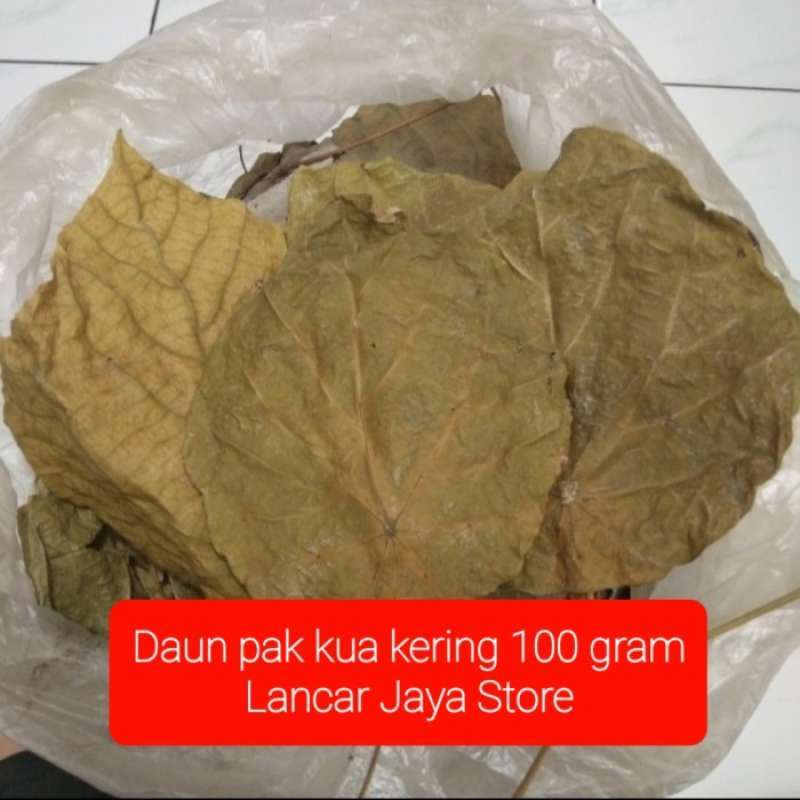 Promo Daun pak kua/pakua/pakkua/pat kwa kering dan basah Diskon 33% di ...
