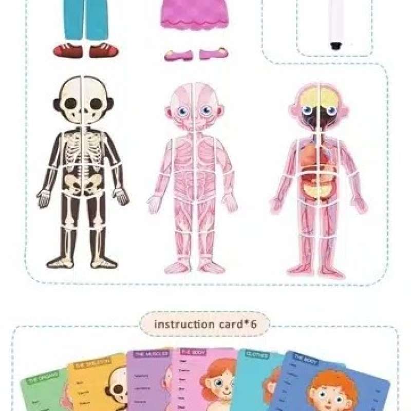 Jual mainan edukasi Educational puzzle board body magnet papan gambar ...
