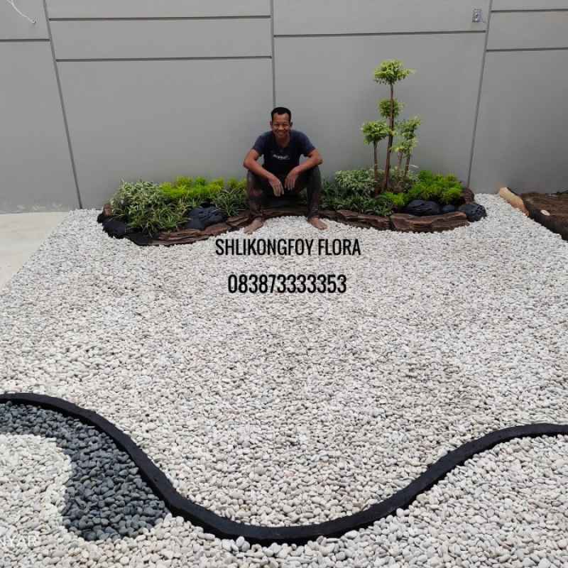 Promo Taman kering/taman batu tabur/taman batu koral Diskon 23% di ...