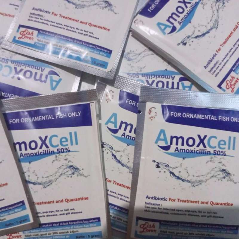 Jual Amoxcell Obat Ikan Karantina Antibiotik / Amoxicillin / Amoxcel ...