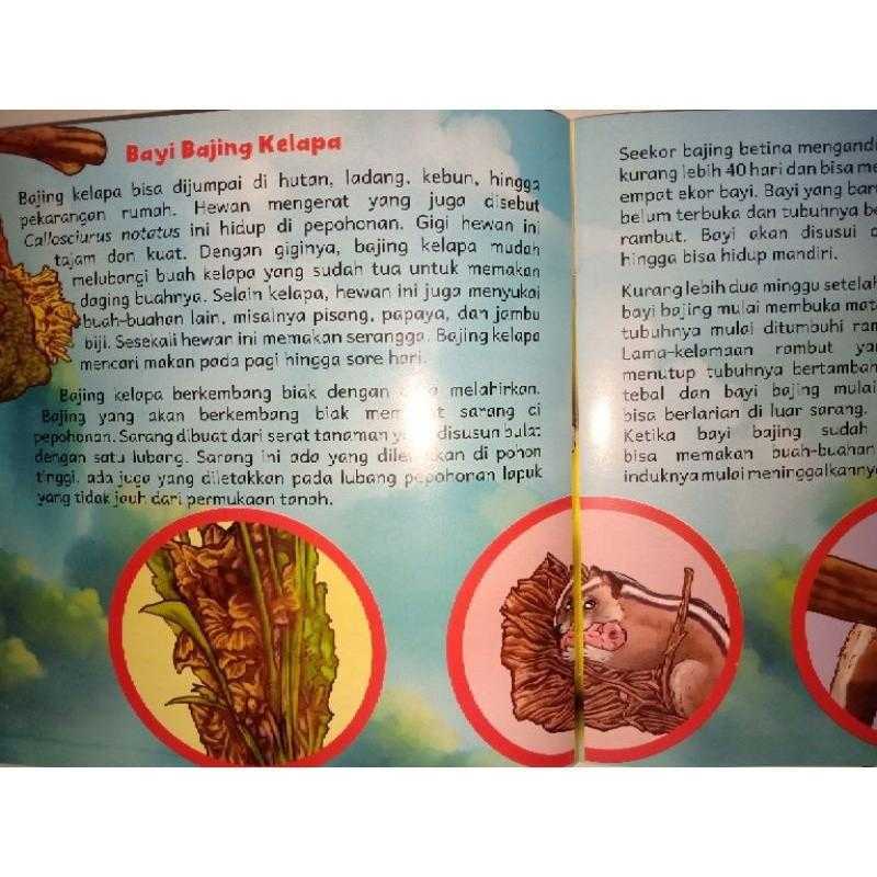 Jual Buku Cerita Anak Bergambar Seri Baby Animals - Ikan/Amfibi di ...