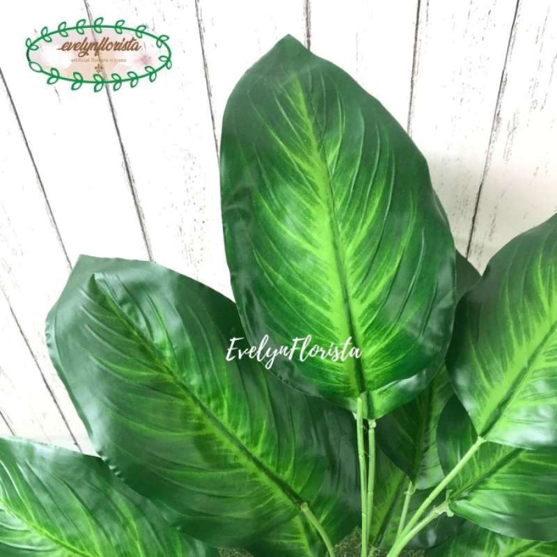 Jual Pohon Sepatu Filum X12 Artificial Cover Pot Purun Belly Tanaman ...
