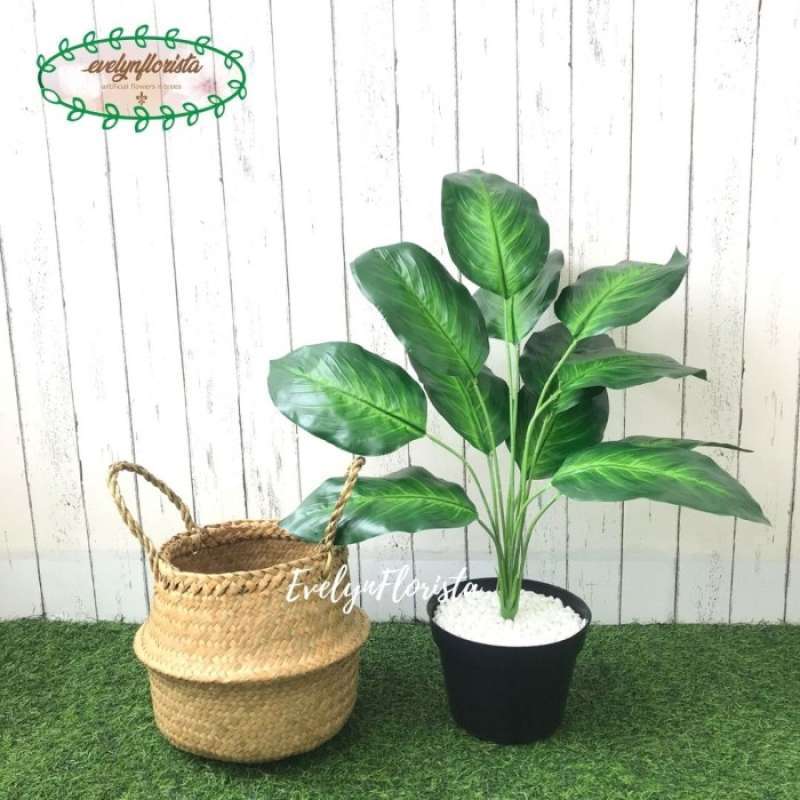 Jual Pohon Sepatu Filum X12 Artificial Cover Pot Purun Belly Tanaman ...