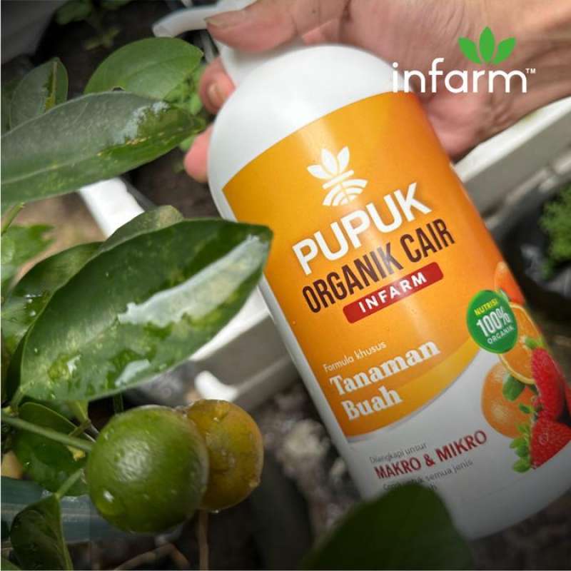 Jual Infarm - Pupuk Organik Cair Tanaman Buah / Bunga 1l Poc Kompos - Medan Di Seller Infarm ...