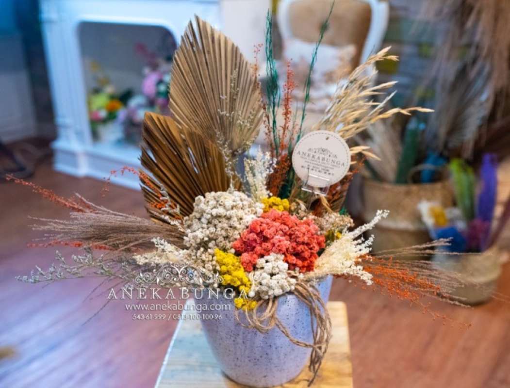 Promo Bunga Asli Kering Natural Rustic Palm Dry Flower Daun Palem ...