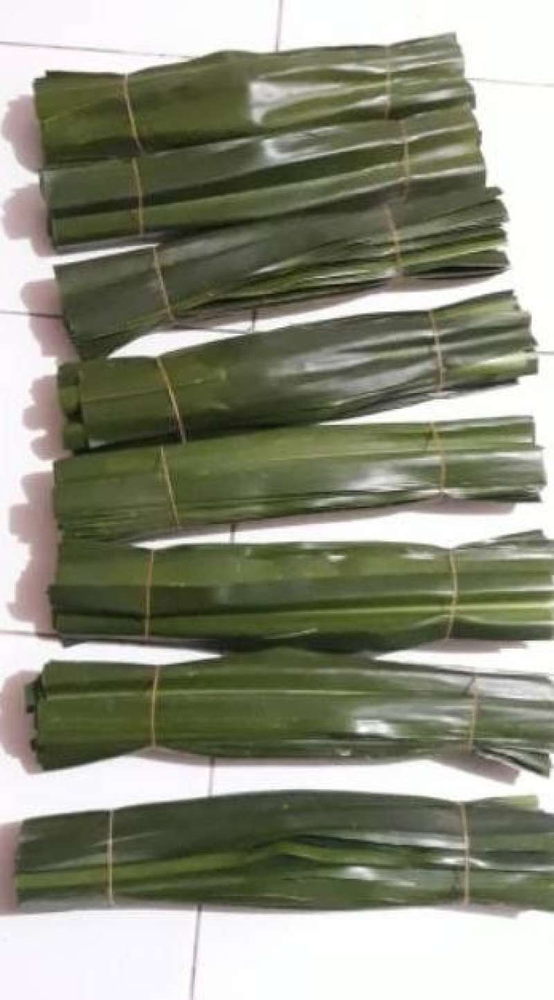 Jual Daun Pandan Besar Untuk Bungkus Bacang Bangka Di Seller Sangninja ...