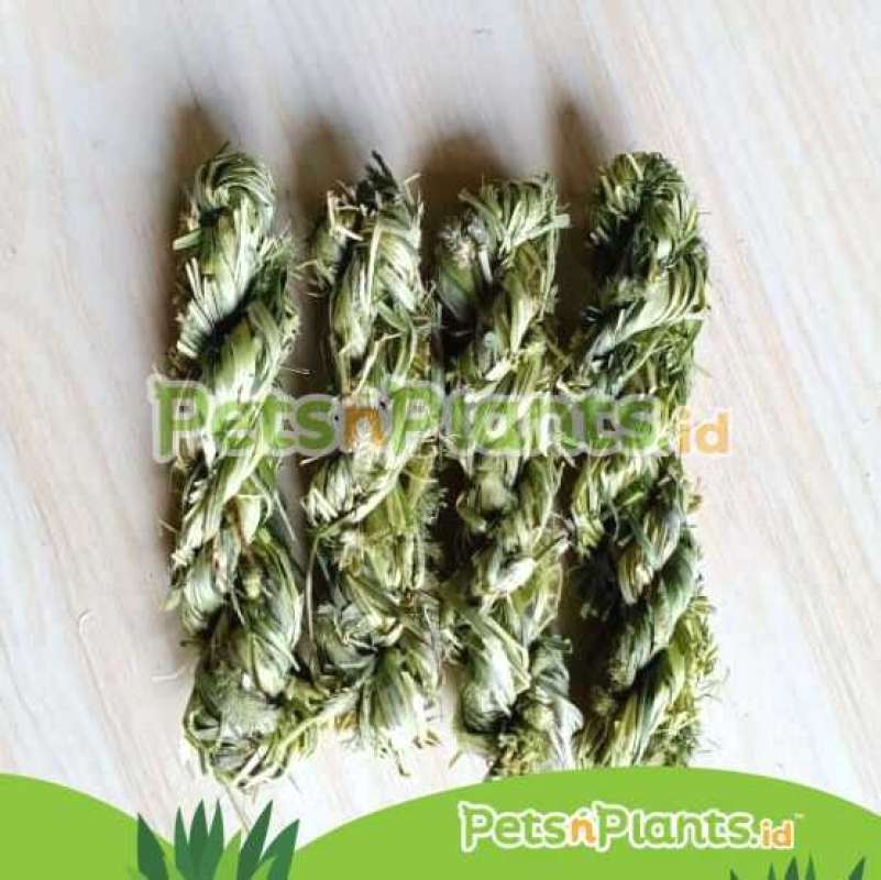 Promo Timothy Hay Grass Twist - Treat Snack Kelinci Chinchilla Guinea ...