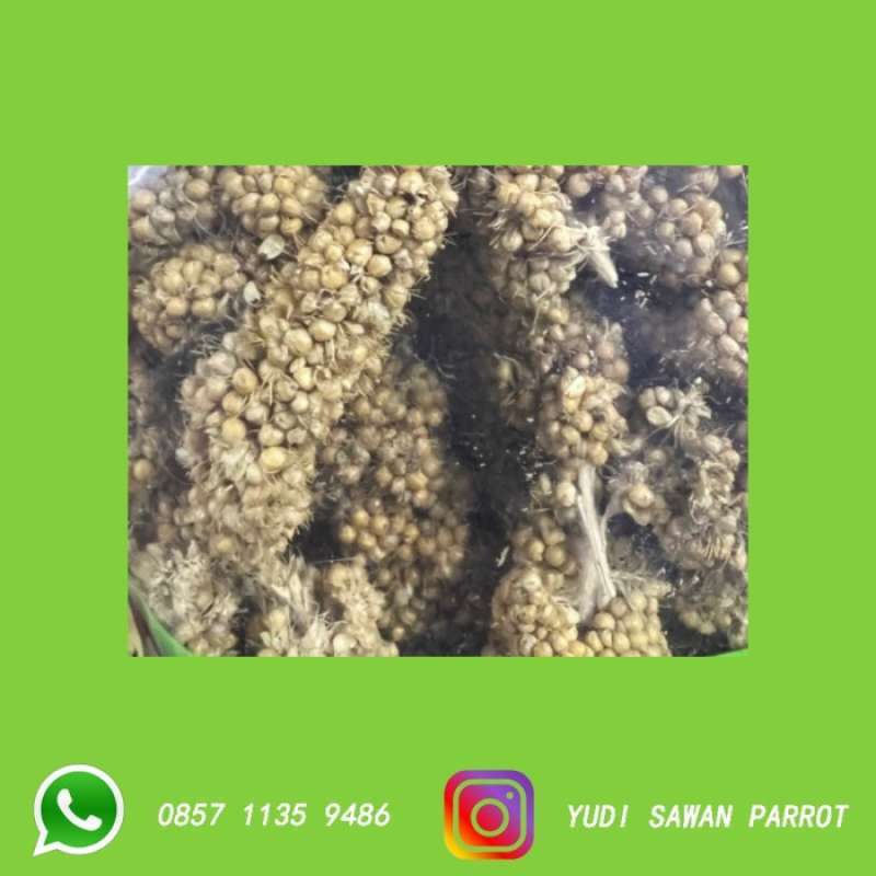 Promo Tropical Carnival Makanan Pakan Burung Milet Falk Parkit Conure ...