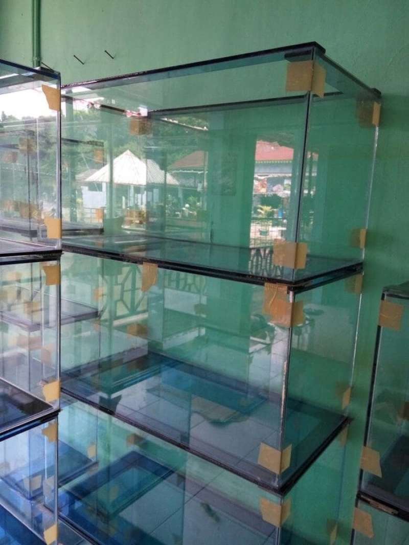 Promo Aquarium Kaca Polos 80x40x40cm Dan Sterofoam Diskon 23% Di Seller ...