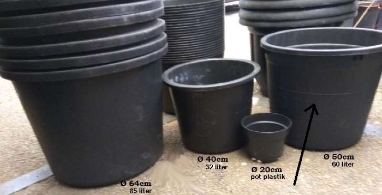 Promo Pot Semi Karet Anti Pecah Jumbo 60 Liter Min Order 3pcs Terbaik ...