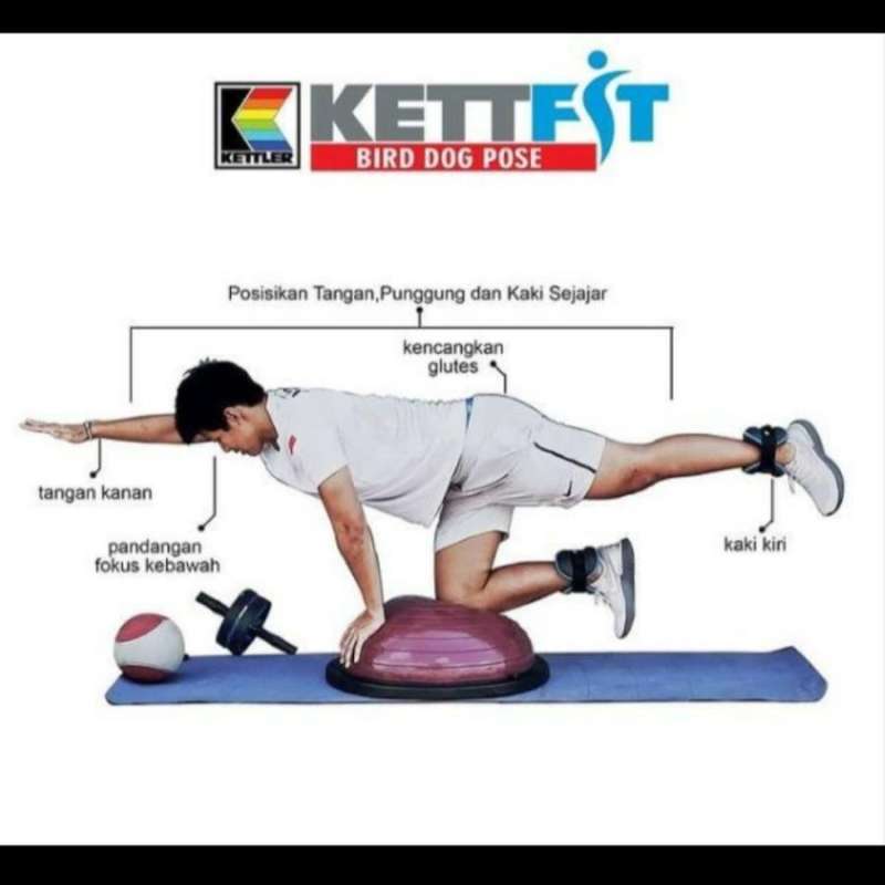 Jual Balance Step/ Bosu Ball Kettler Di Seller King Rise Sport ...