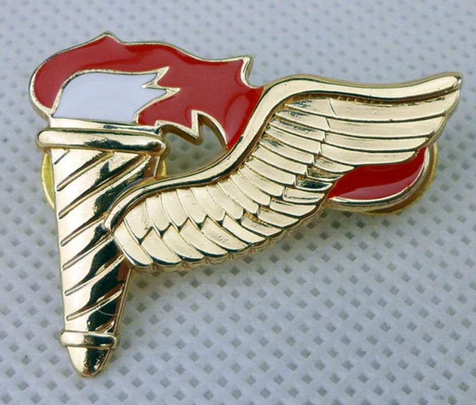 Promo US Army Parachutist Pathfinder Badge Insignia Pin US Army ...