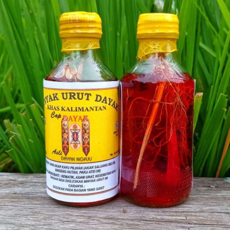 Promo MINYAK URUT GOSOK PIJAT DAYAK ASLI KHAS KALIMANTAN Diskon 22% di ...