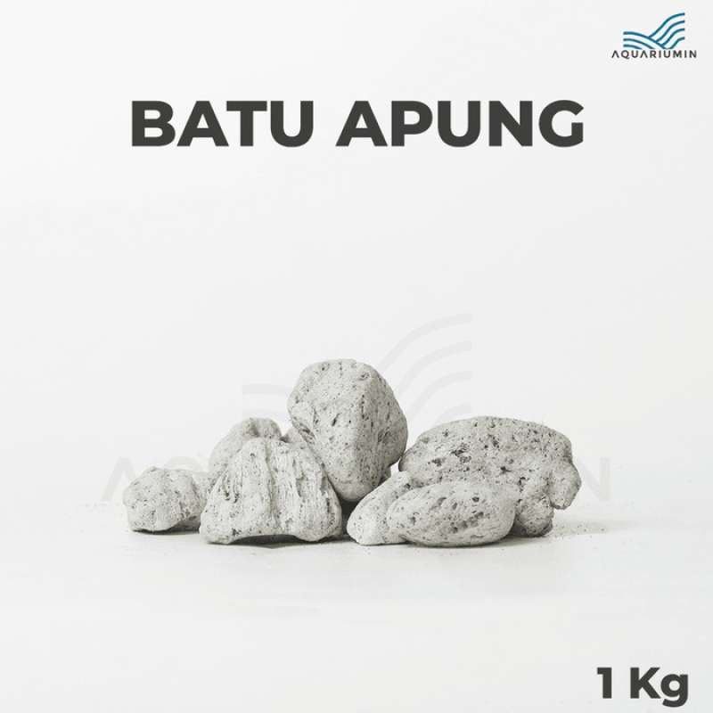 Promo Batu Apung / Pumice Stone / Rumah Bakteri Media filter Aquarium ...