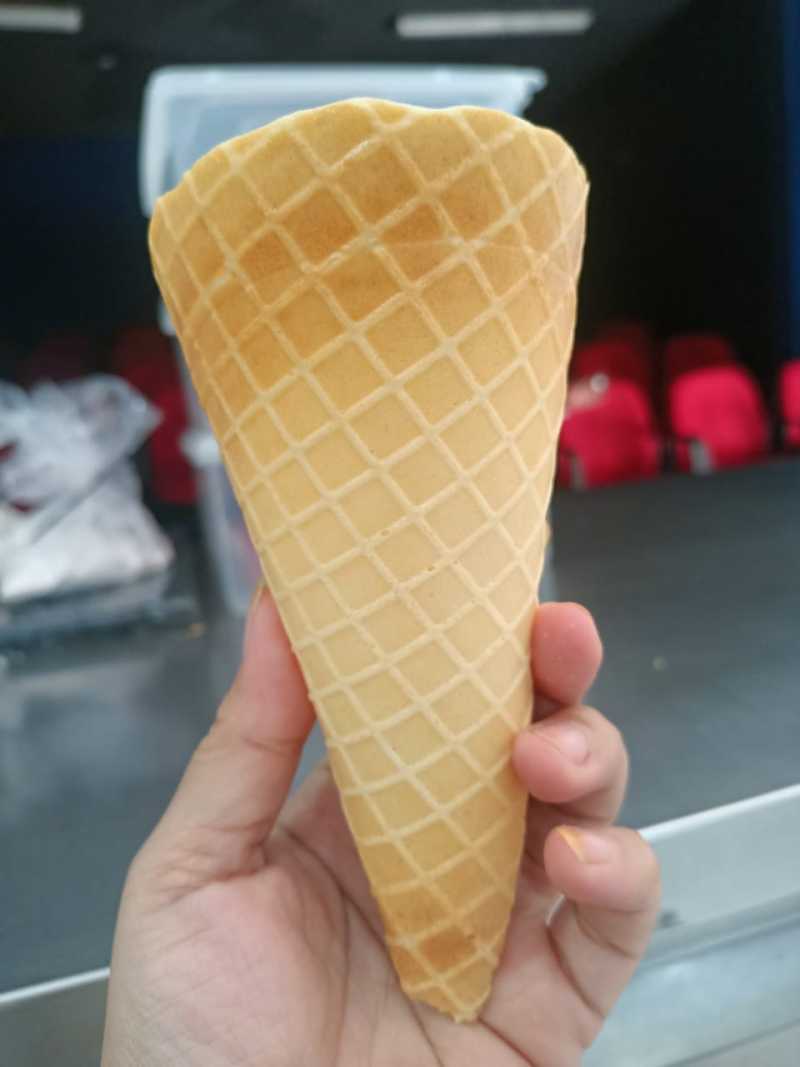 Jual Stroopwafel Dutch Waffle Maker Ice Cream Cone Maker Sonifer di ...