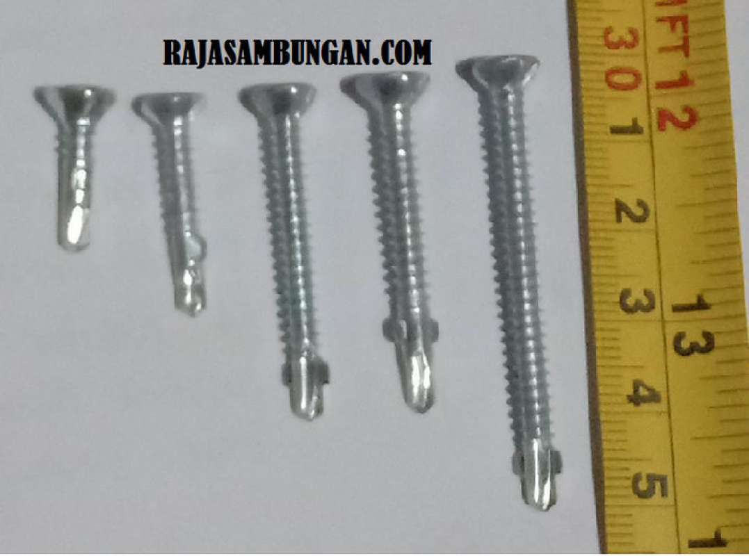 Promo Per100 Sekrup Baja Ringan 8 X 30 Mm Paku Baut Lisplank Kalsiboard ...