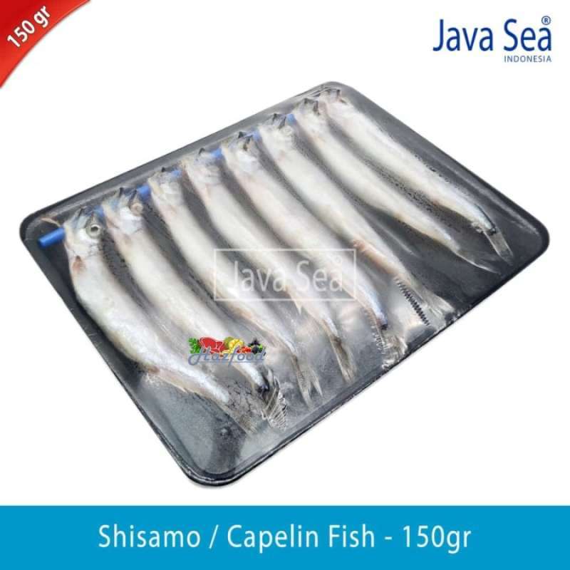 Jual Java Sea Shisamo Fish|Capelin fish|Ikan Shisamo 150gr di Seller Hazfood - Karang Ayu, Kota ...