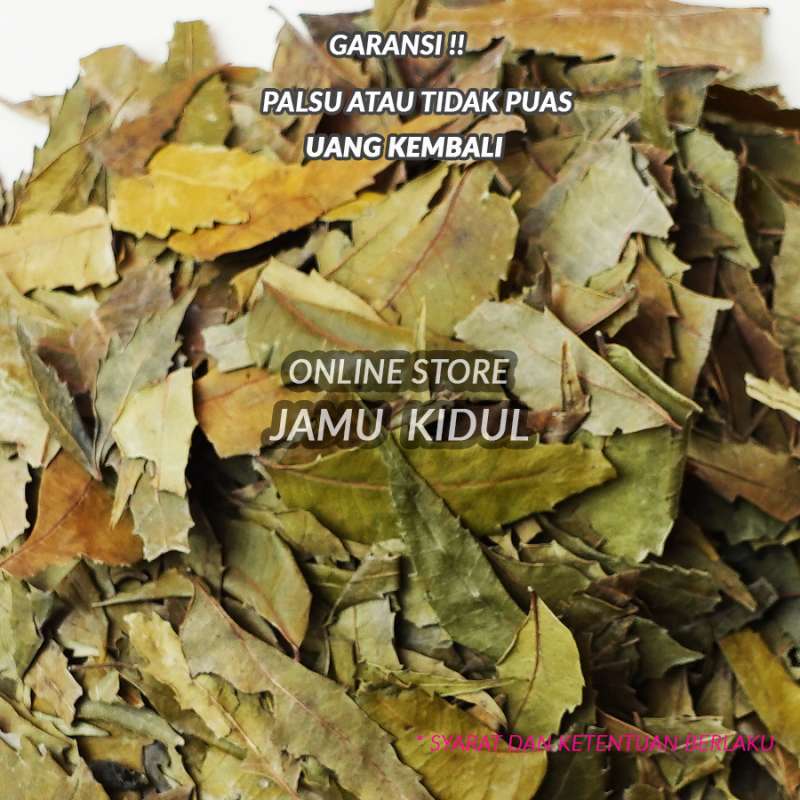 Promo Daun Mimba Kering 100 Gr Asli Hutan Diskon 17% Di Seller Jamu ...