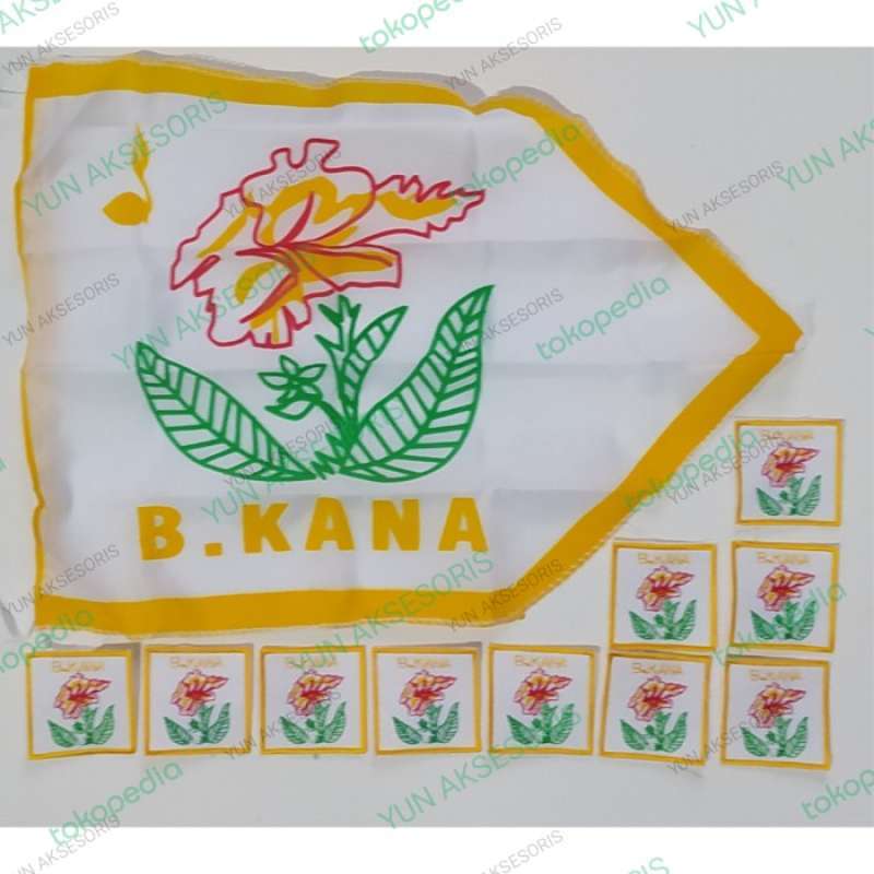 Jual 1 set Tanda Regu Pramuka Putri Bunga Kana 10 bordir dan 1 bendera ...