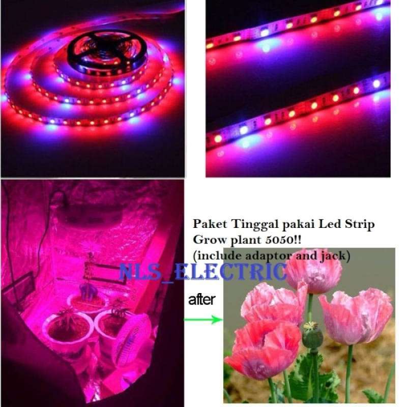 Promo Paket Tinggal Pakai Lampu Led Strip Fleksibel Smd 5050 Growplant ...