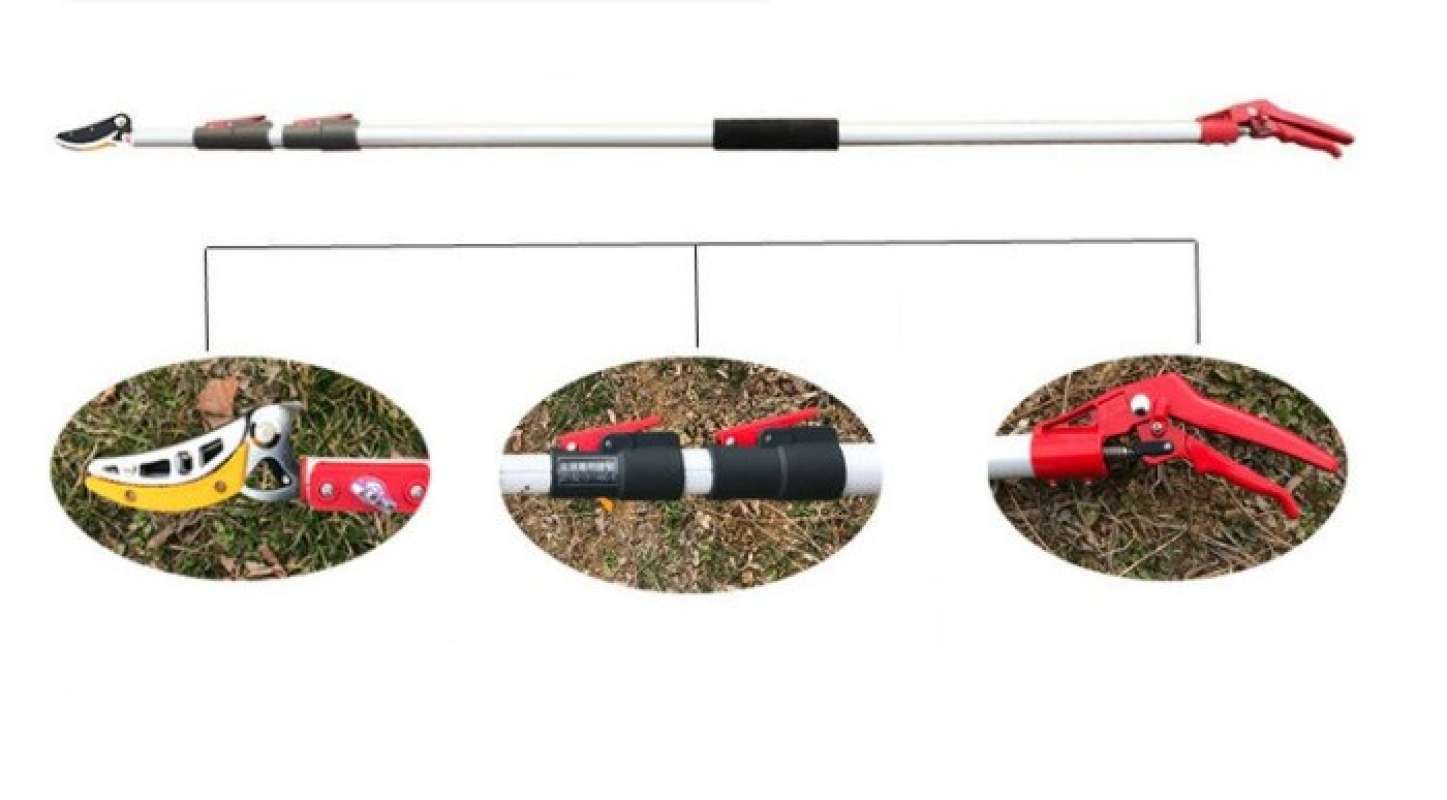 Promo Tree Pruner Galah Tongkat Pemotong Gergaji Gunting Dahan Ranting Tarik Diskon 23% Di ...