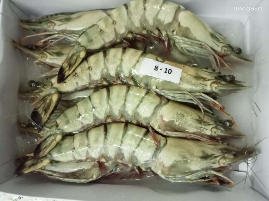 Jual Udang Tiger / Udang Windu /black Tiger Prawn 1kg Di Seller Kent ...