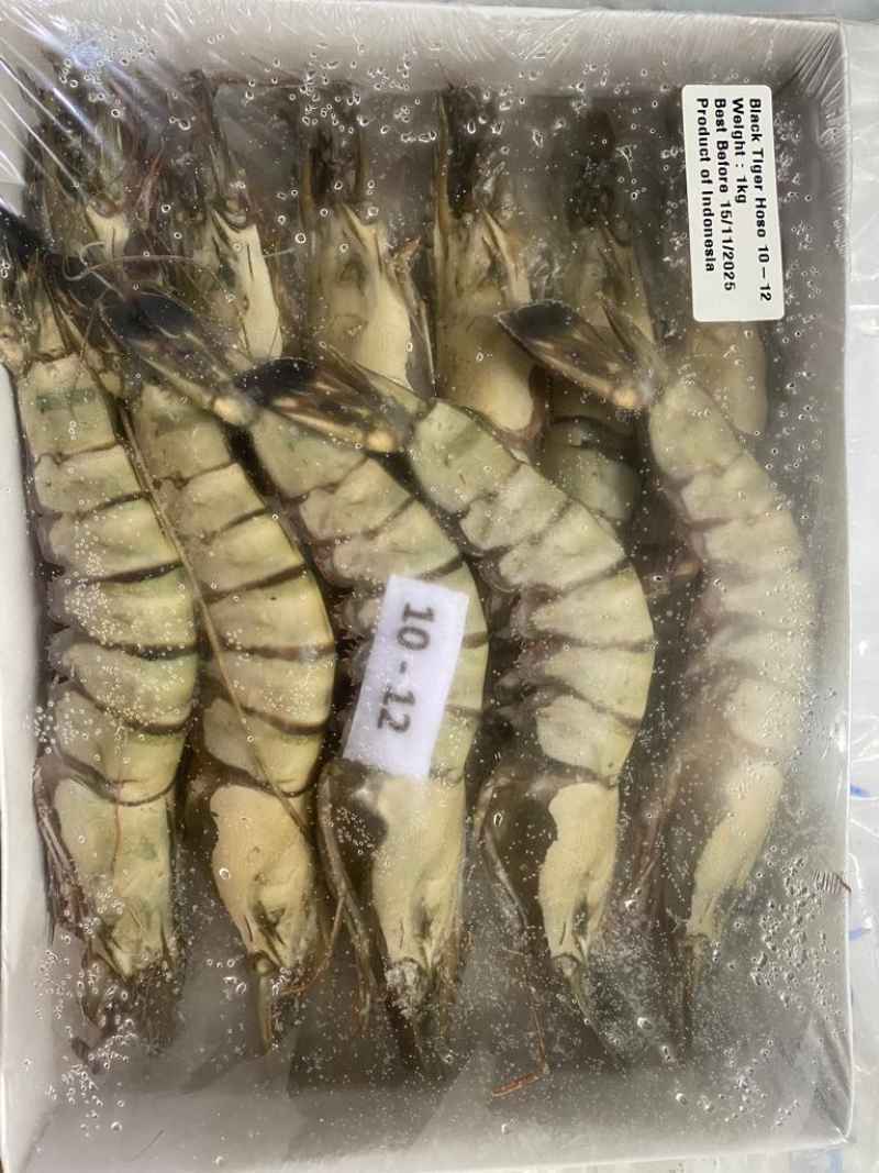 Jual Udang Tiger / Udang Windu /black Tiger Prawn 1kg Di Seller Kent ...