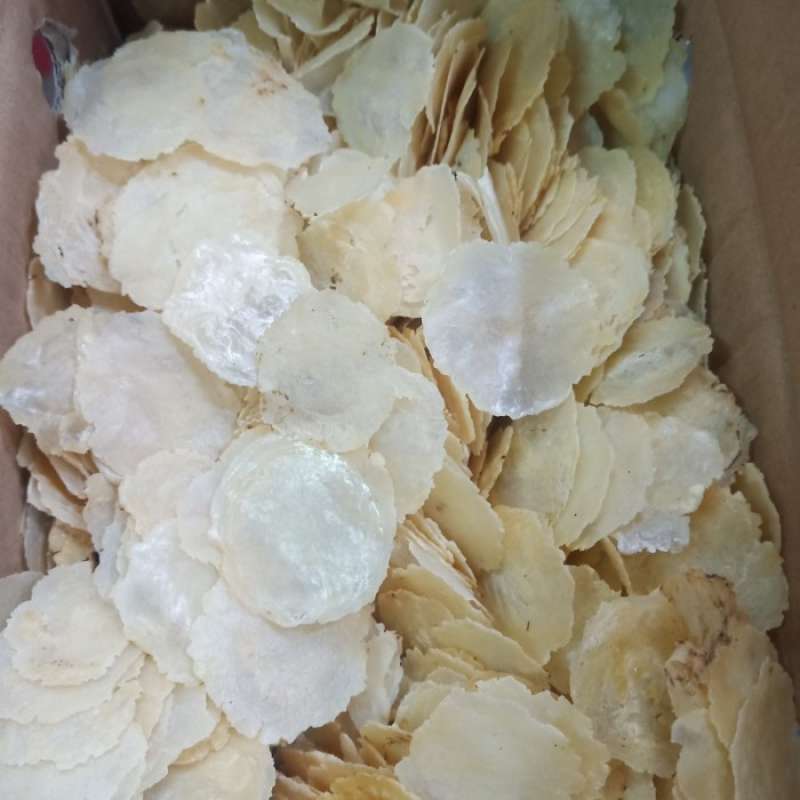 Promo Emping melinjo 5kg/emping melinjo mentah asli limpung Diskon 33% di Seller VIRGO STOREE ...