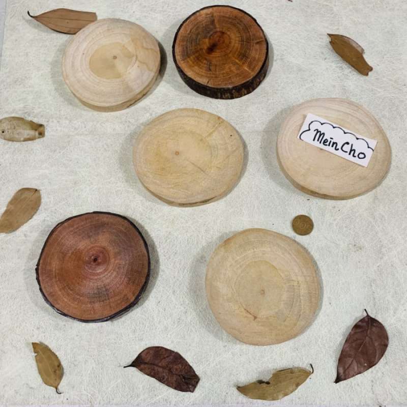 Jual Wood Slice Potongan Kayu Talenan Kayu Irisan Kayu Tatakan Kayu ...