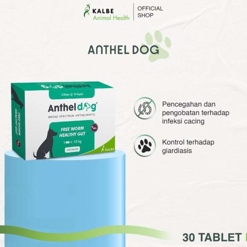 Promo Anthel Dog 1 Box @30 Tablet - Obat Cacing Anjing By Kalbe ...