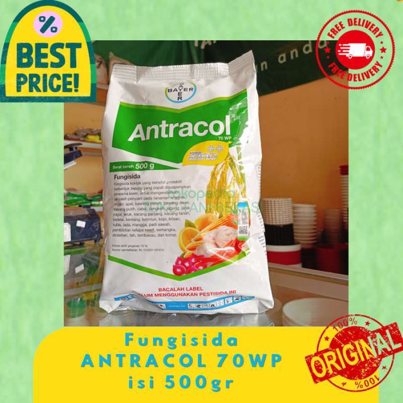 Promo Fungisida ANTRACOL Mengendalikan penyakit jamur pada tanaman ...