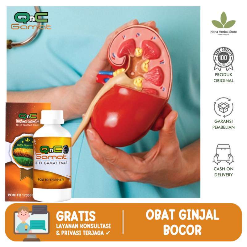 Jual Obat Ginjal Bocor, Sindrom Nefrotik, Kebocoran Ginjal, Atasi ...
