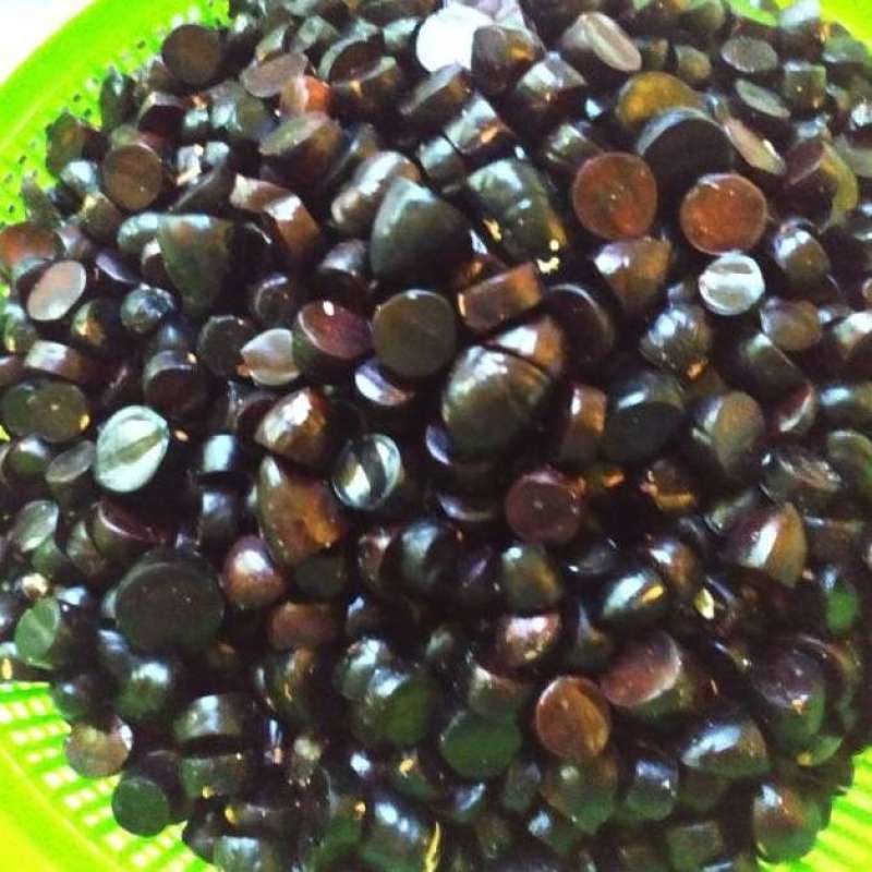 Promo Buah Kabau Jolang Jaling | Julang Jaling | saudaranya Pete dan ...