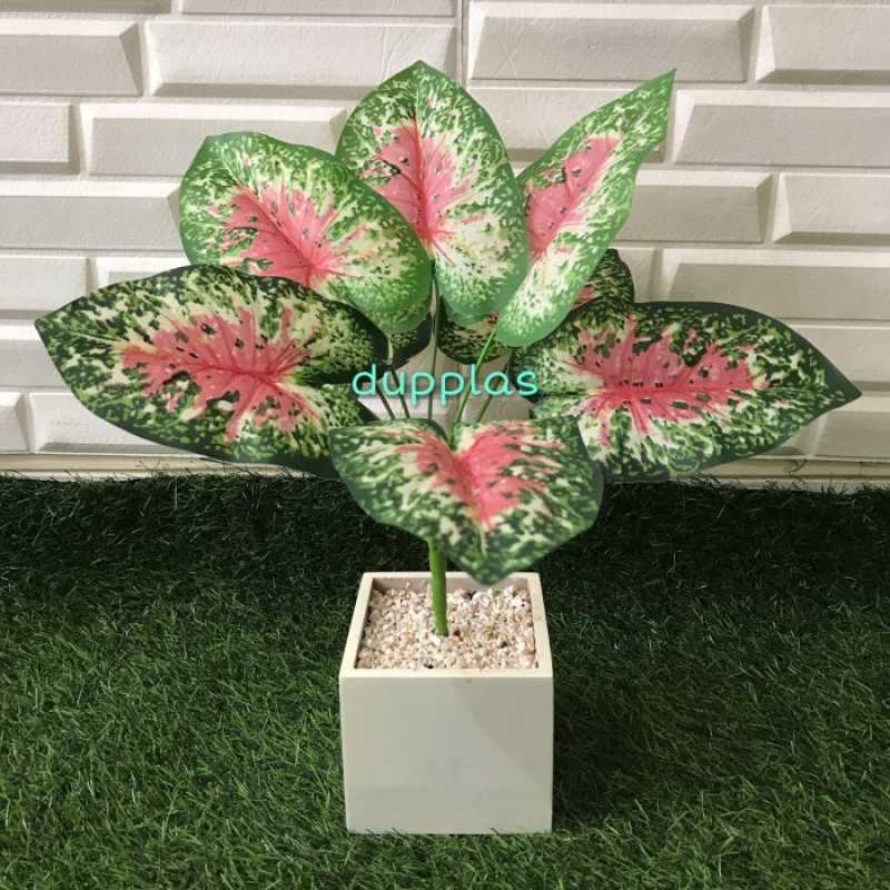 Promo Pohon Daun Sri Rejeki X8 Mini Artificial Pot Kayu Kotak Putih ...