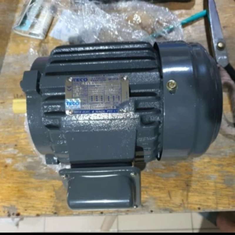 Promo Dinamo Penggerak Elektro Motor Teco 0,5 Hp 3 Phase 4 Pole 1450 Rpm B3 Diskon 23% Di Seller ...
