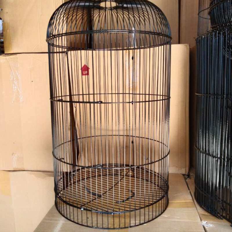 Jual Ram Besi Lovebird Di Seller Aghanim - Cengkareng Timur, Kota ...