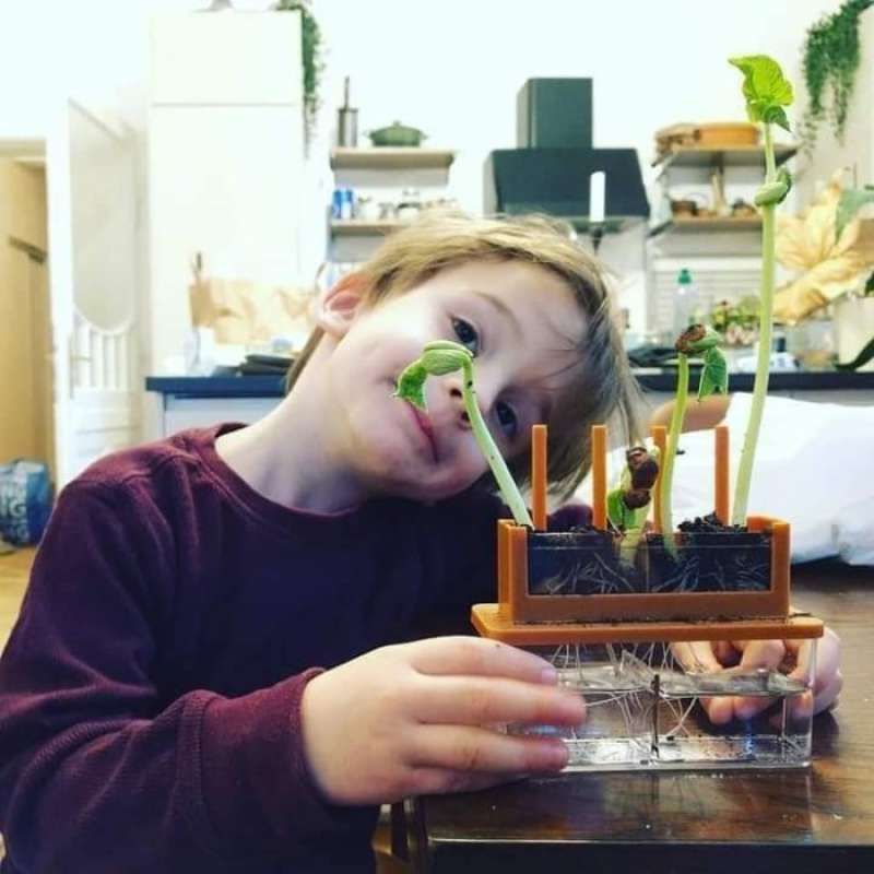 Promo Mainan Edukasi - Grow A Maze - Diy Biology Science Kit Sains ...