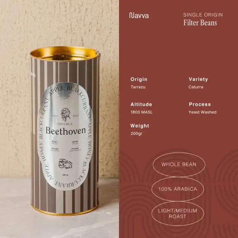 Jual 200gr Filter Beans Arabica Manual Brew Costa Rica Beethoven/biji ...