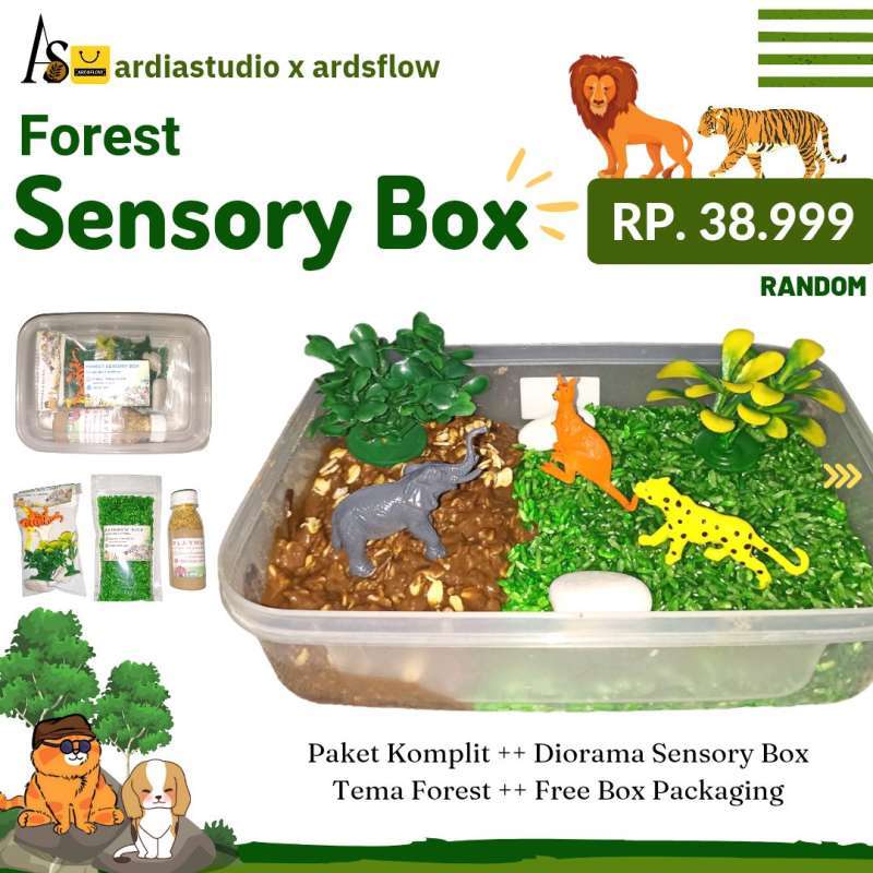 Jual Mainan Edukasi Montessori Sensory Box Sensory Bin Play Sensory ...