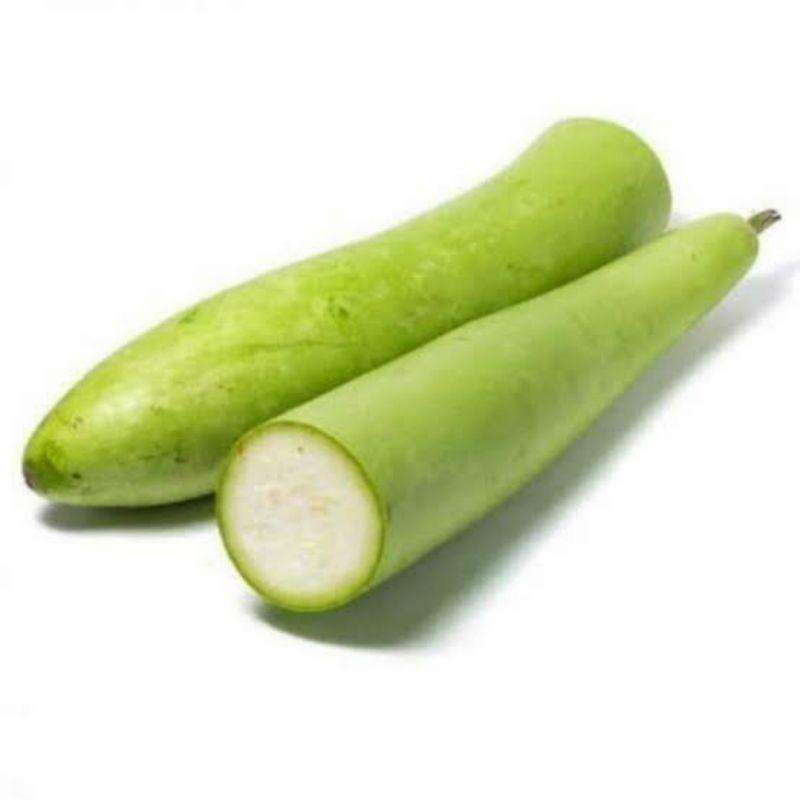 Jual Macam Macam Labu Putih Terbaik Maret 2024 - Harga Murah & Gratis ...