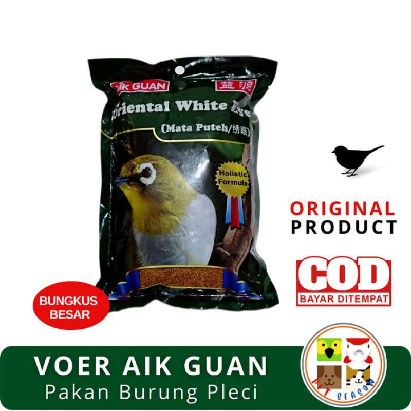 Pakan Burung Pleci