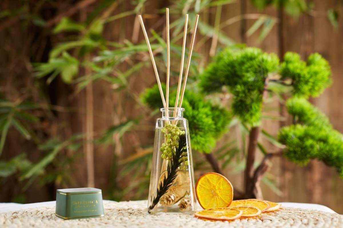 Jual Premium Reed Diffuser Botanica Japan Greenery House Pengharum ...