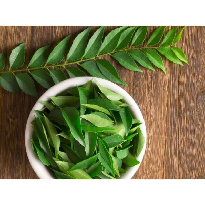 Jual Daun Kari segar / Salam Koja / Koro Belek (1kg) di Seller Fadafood ...
