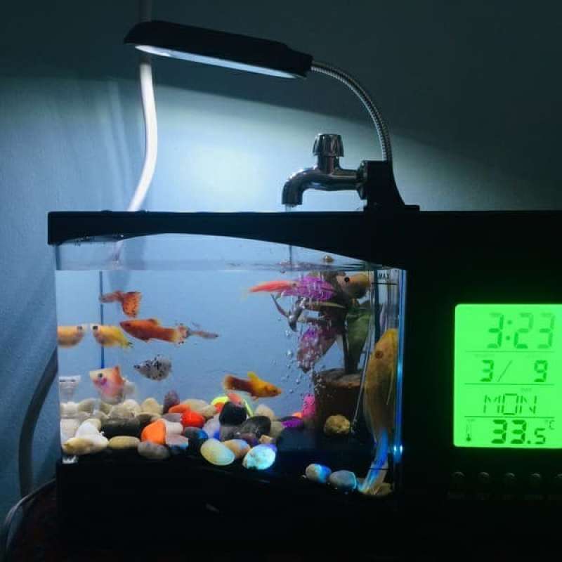 Promo Aquarium Mini Usb Desktop Jam Alarm Led Display Aerator Akuarium ...