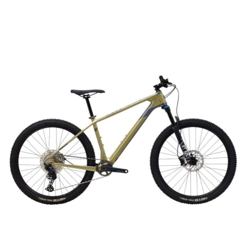 Jual Sepeda Gunung Polygon Carbon Original Terbaru - Harga Promo Murah ...