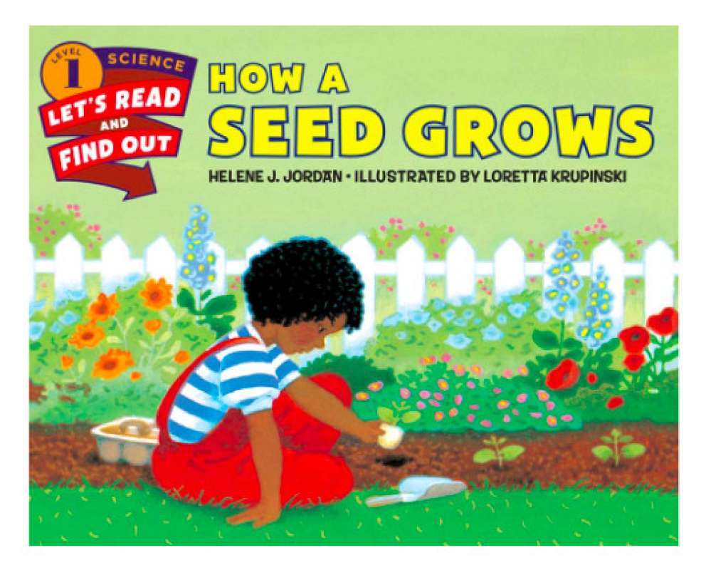 Promo How a Seed Grows by Helene J. Jordan , Illustrated by Loretta ...