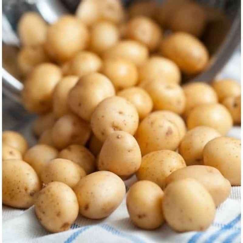 Buah Kentang 1 Kg Gratis Ongkir 🏷️ Harga Murah Mei 2026
