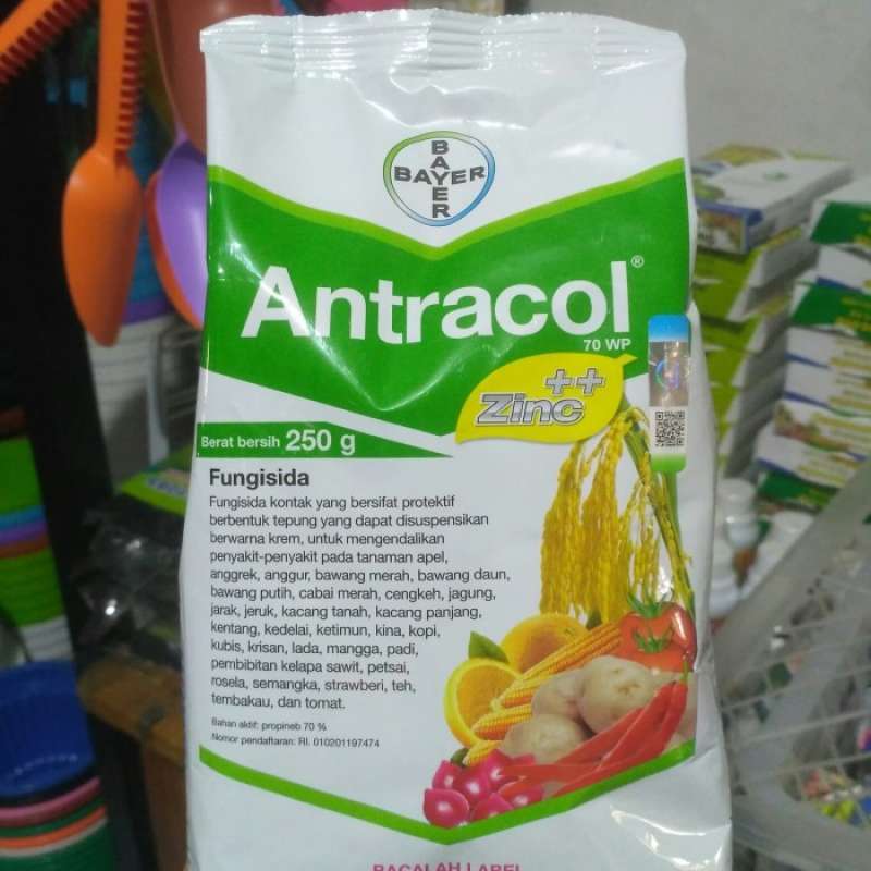 Promo Fungisida Antracol 70 WP anti jamur untuk tanaman 250 gr Diskon ...