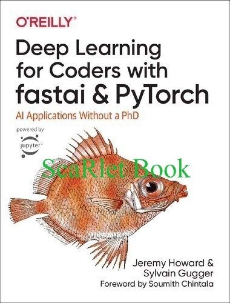 Promo Deep Learning for Coders with fastai and PyTorch Diskon 23% di ...
